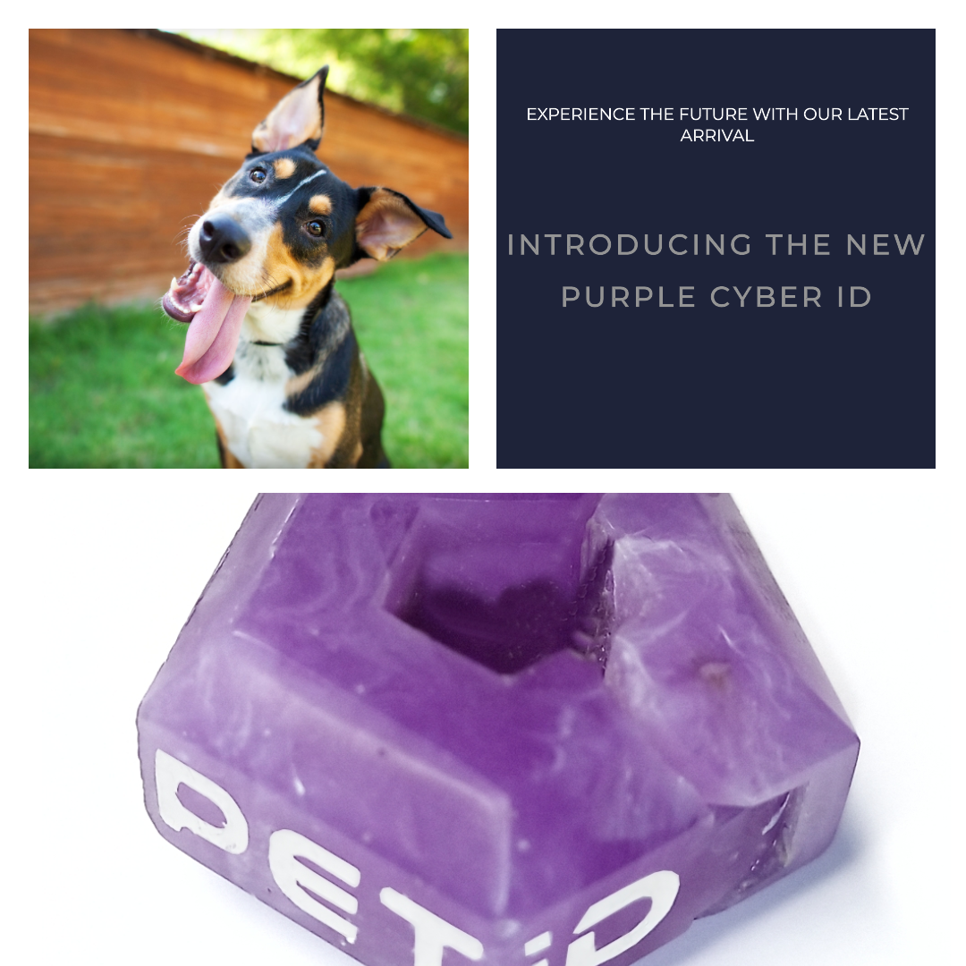 GivePaw Cyber iD – Pets Cyber Identification